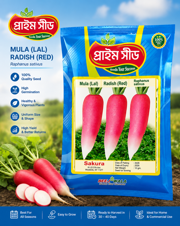 PRIME Radish (Red)(Lal Mula) Seeds-NYC – ChefsRHere