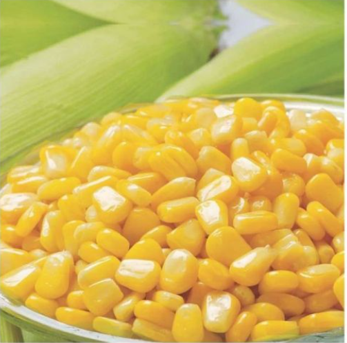 Pran Sweet corn (Frozen)-400gm – ChefsRHere