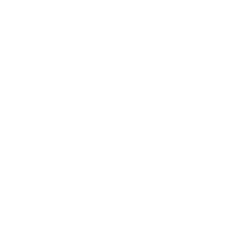 Chester's Flamin' Hot Fries 1 oz – ChefsRHere
